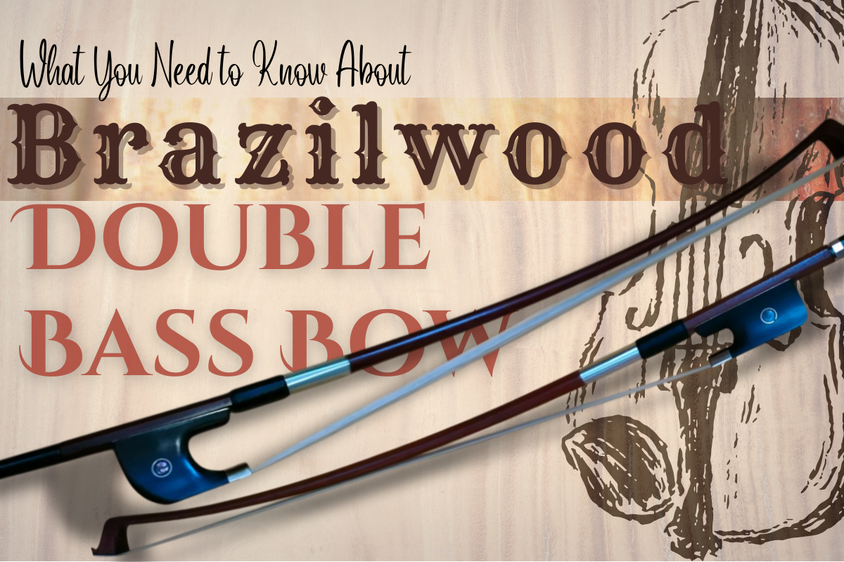 The Brazilwood Double Bass Bows: What You Need to Know – Xavier Foley