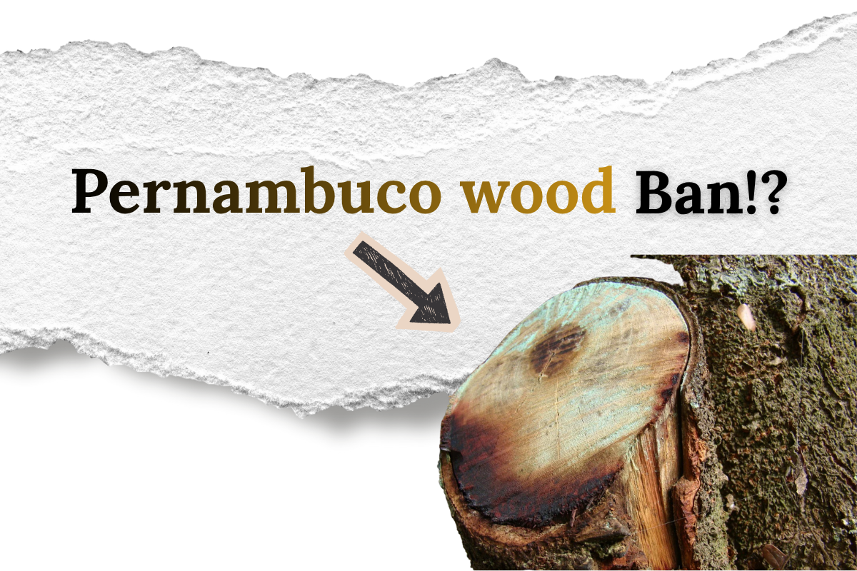 Pernambuco Wood Ban Crisis: A Bassist's Guide to What's Coming – Xavier ...